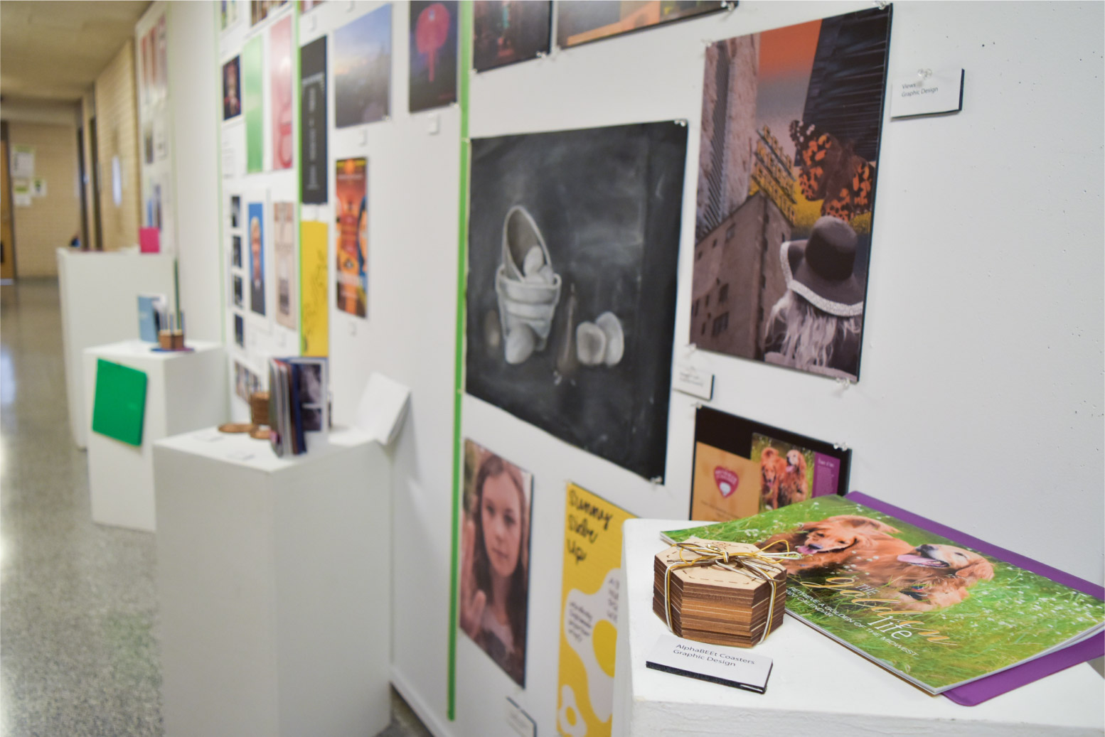 Program Application - WSU Design Program